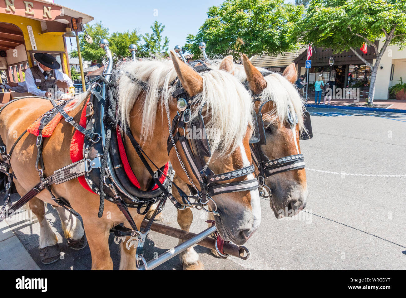Pull trolley hi-res stock photography and images - Alamy