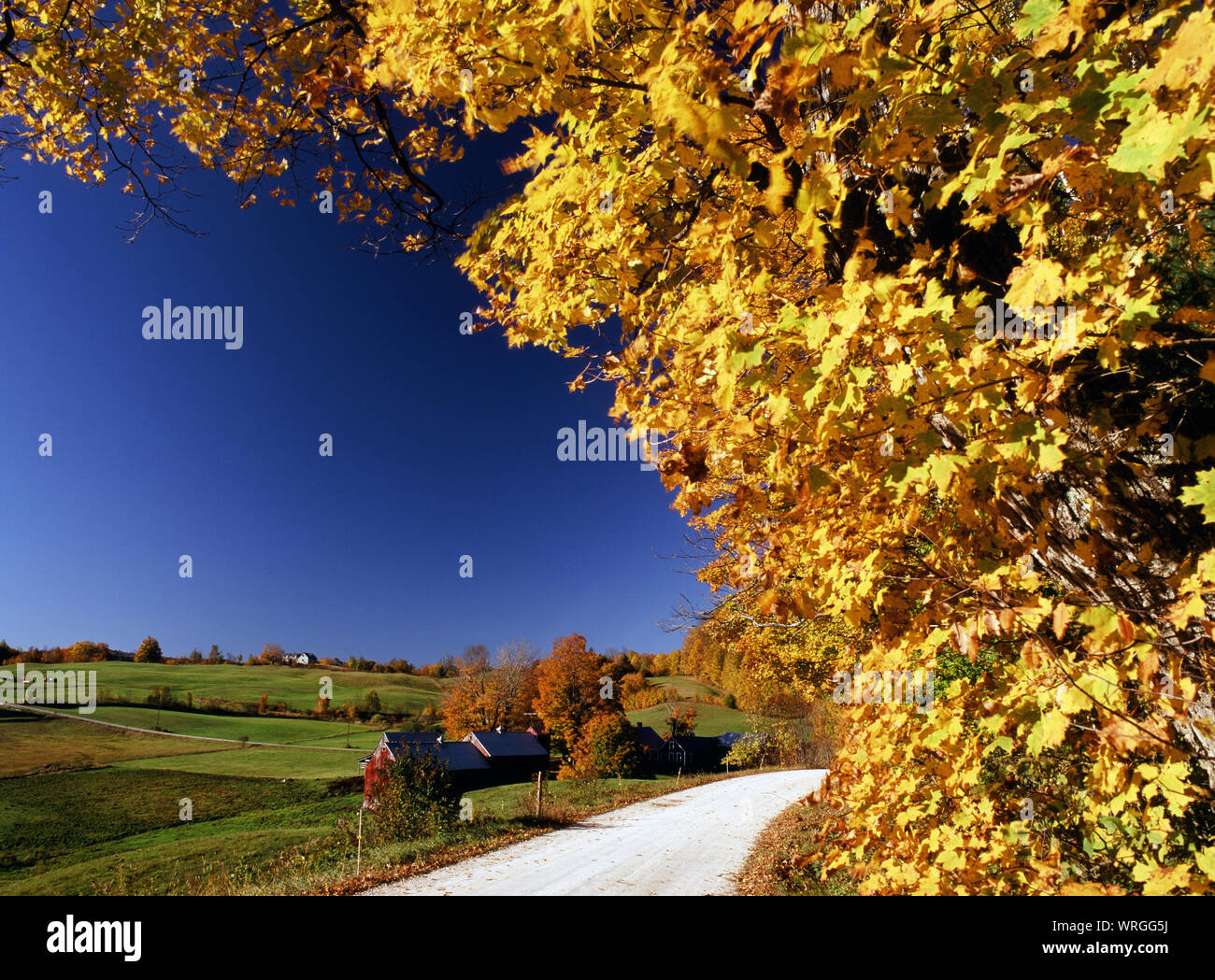 Jenne hi-res stock photography and images - Alamy
