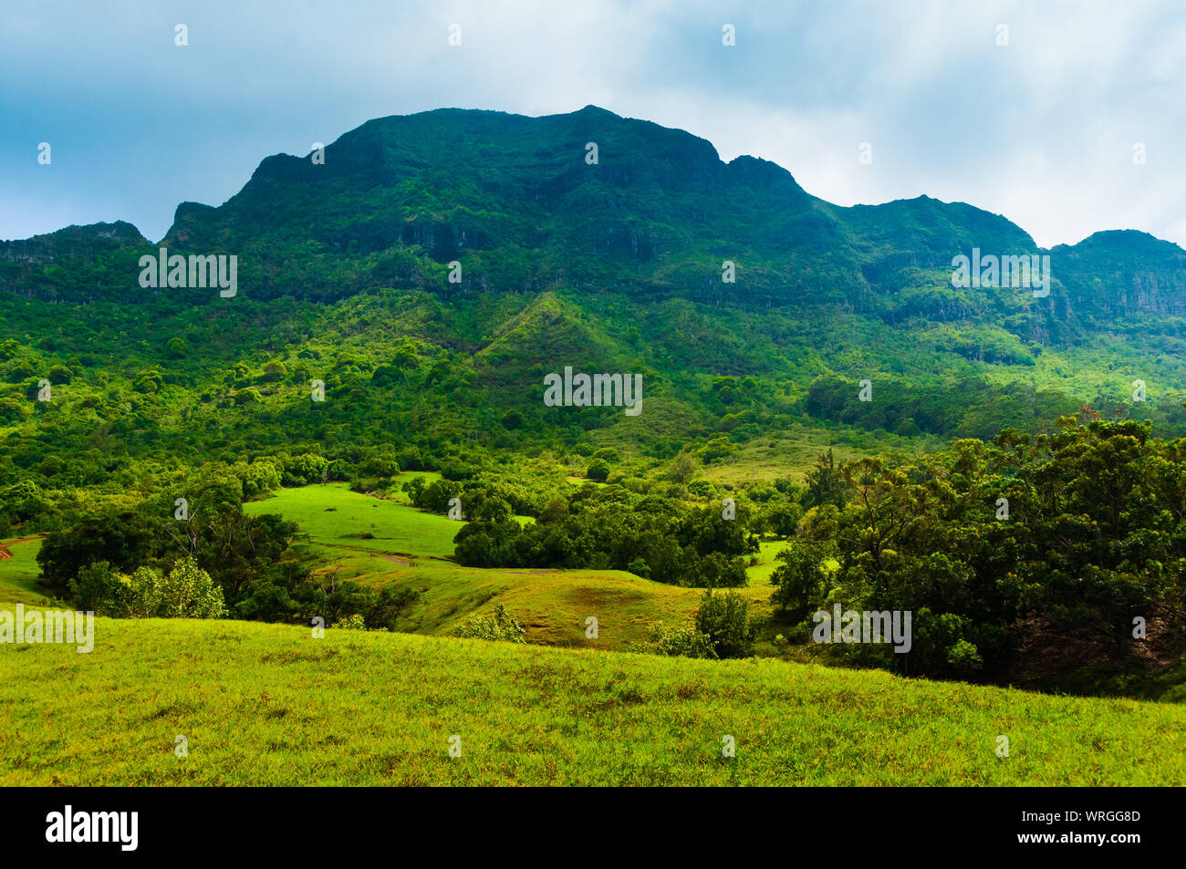 Scenic view looking up at a lush mountainous hillside on the tropical ...