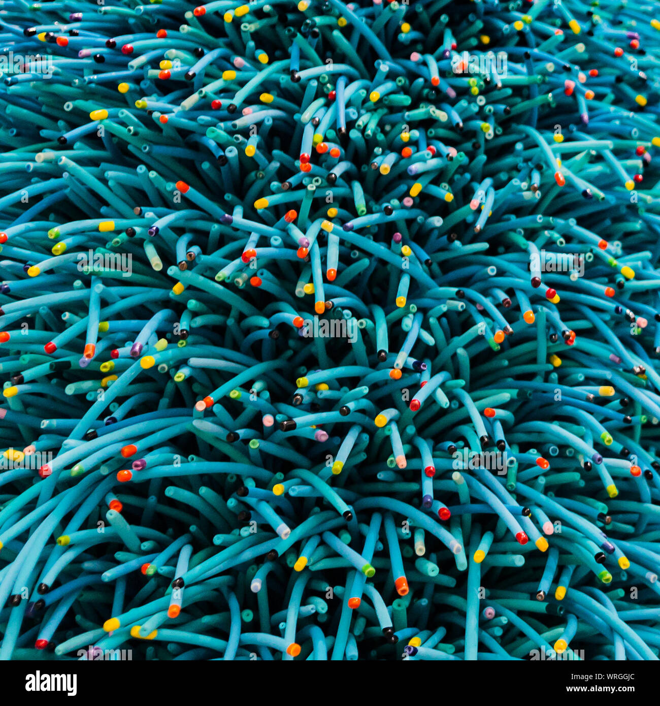 Blue wires hi-res stock photography and images - Alamy