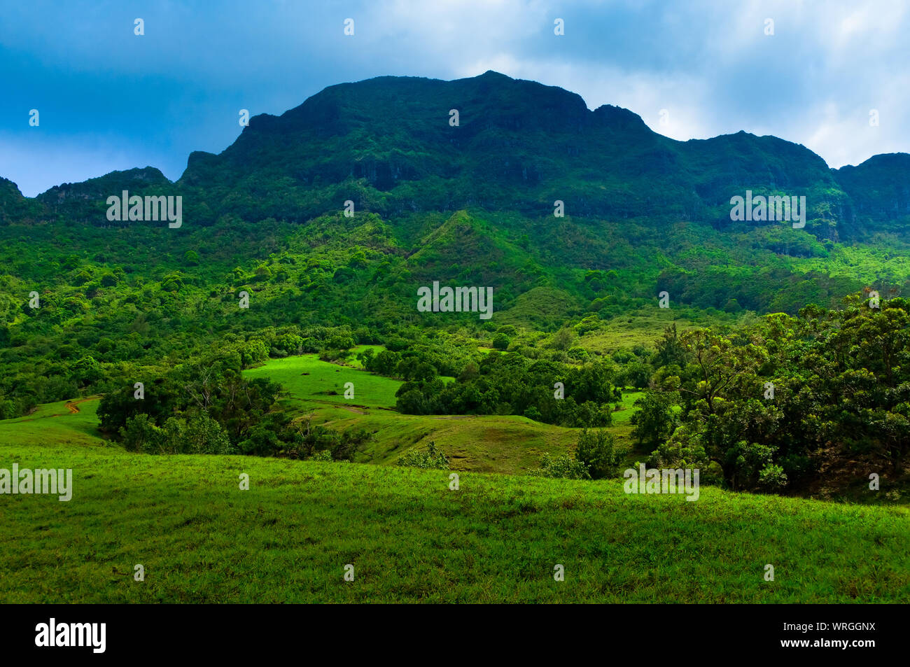 Scenic view looking up at a lush mountainous hillside on the tropical ...