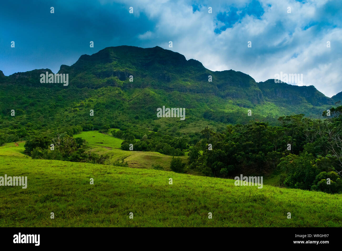 Scenic view looking up at a lush mountainous hillside on the tropical ...