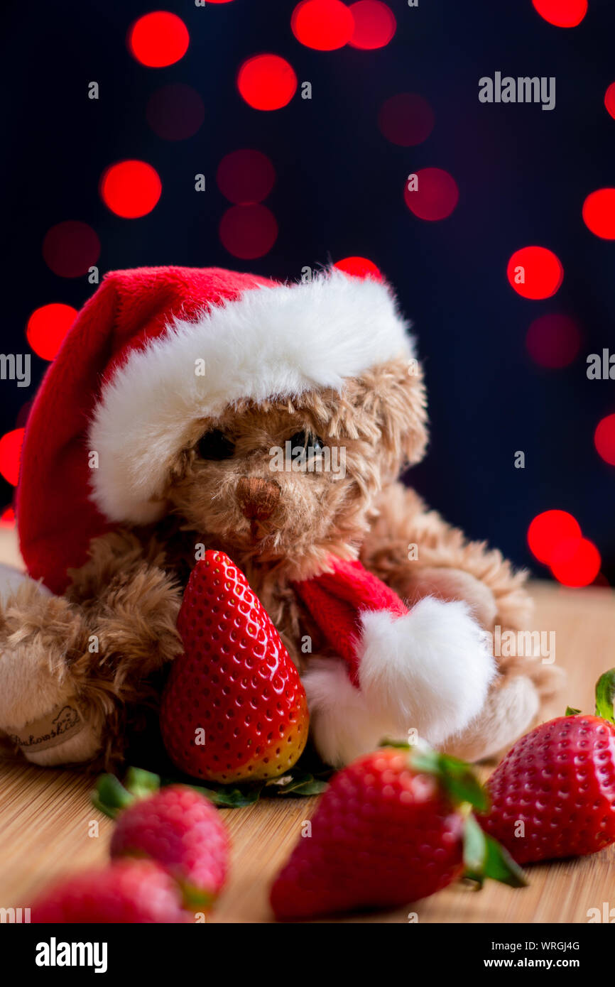 Christmas teddy bear hi-res stock photography and images - Alamy