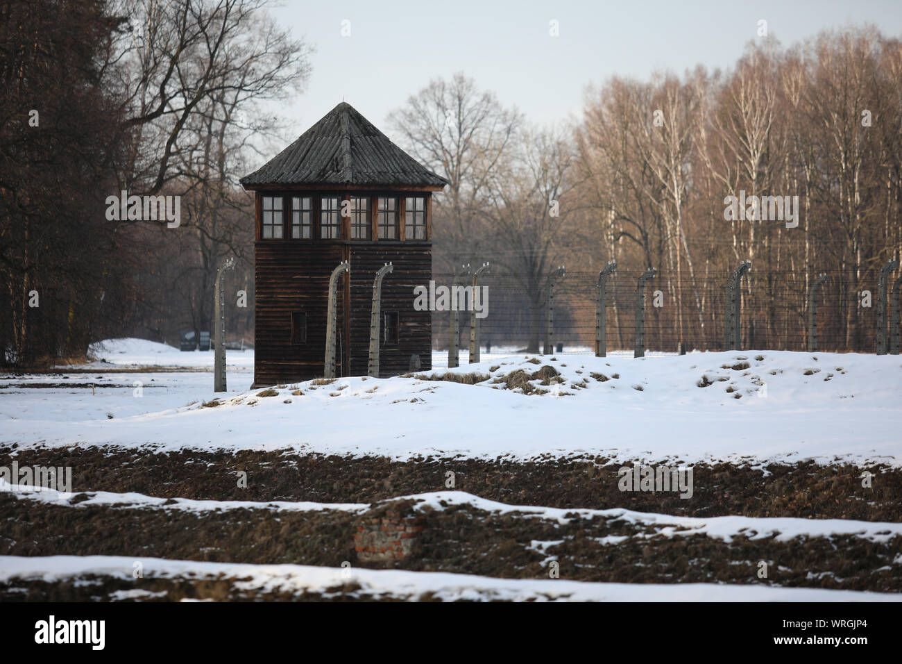 AUSCHWITZ, POLAND - 20 December 2019: Watch towers at Auschwitz ...