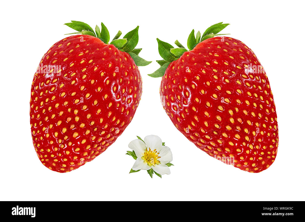Strawberry isolated on white background Stock Photo - Alamy