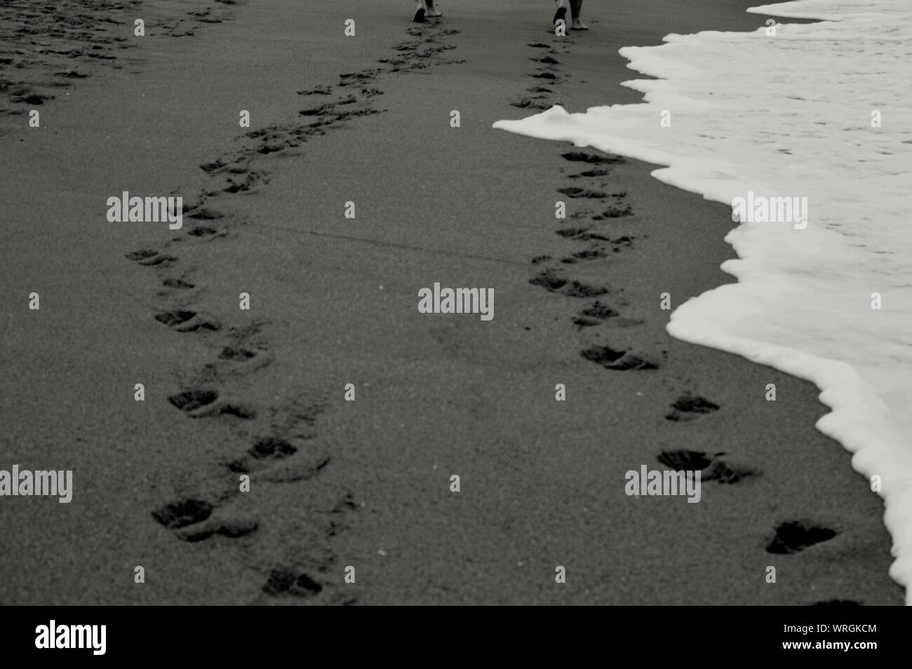 Feet of people hi-res stock photography and images - Alamy