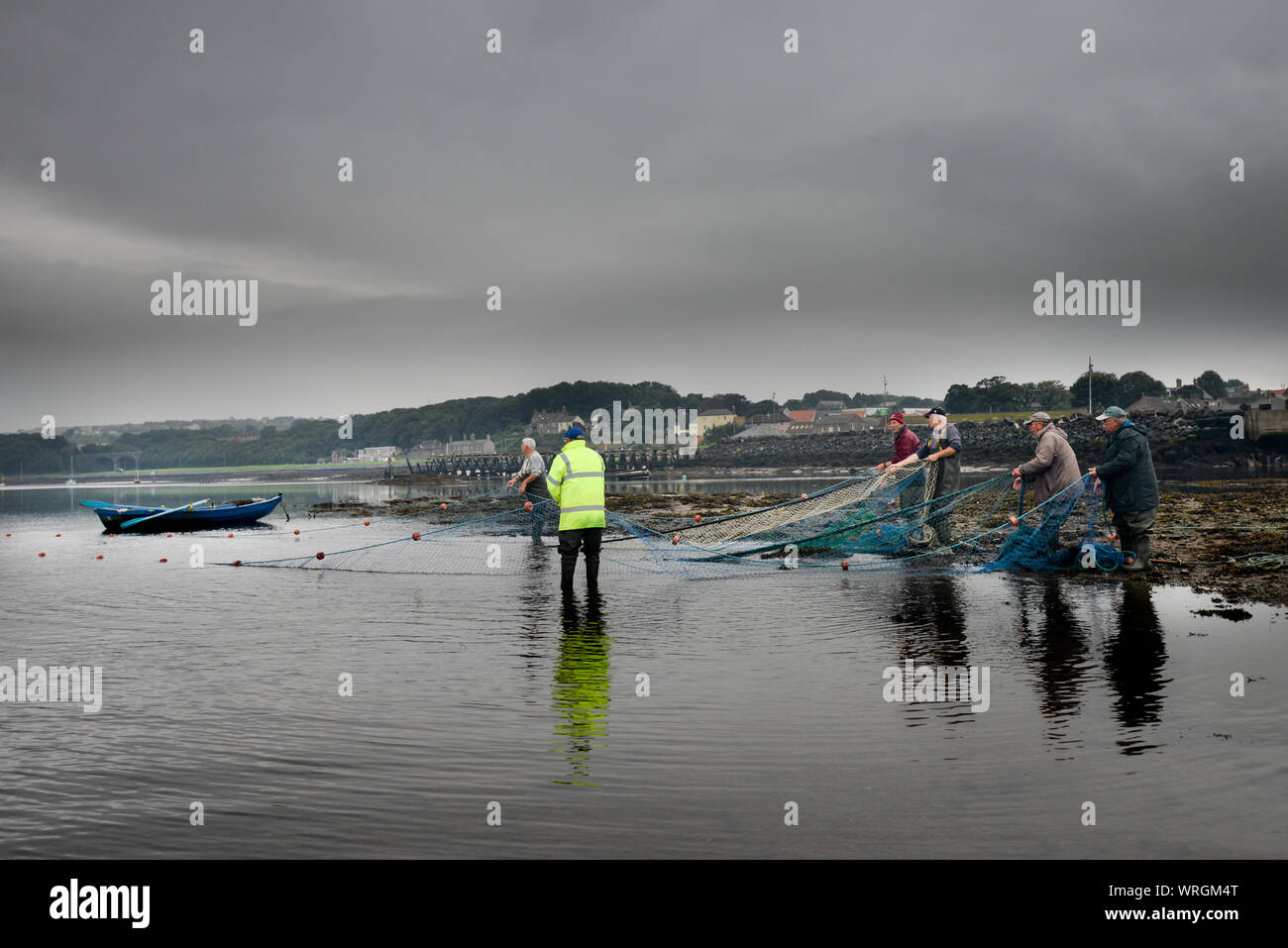 River Tweed traditional net fishermen fishing at Gardo fishery at ...