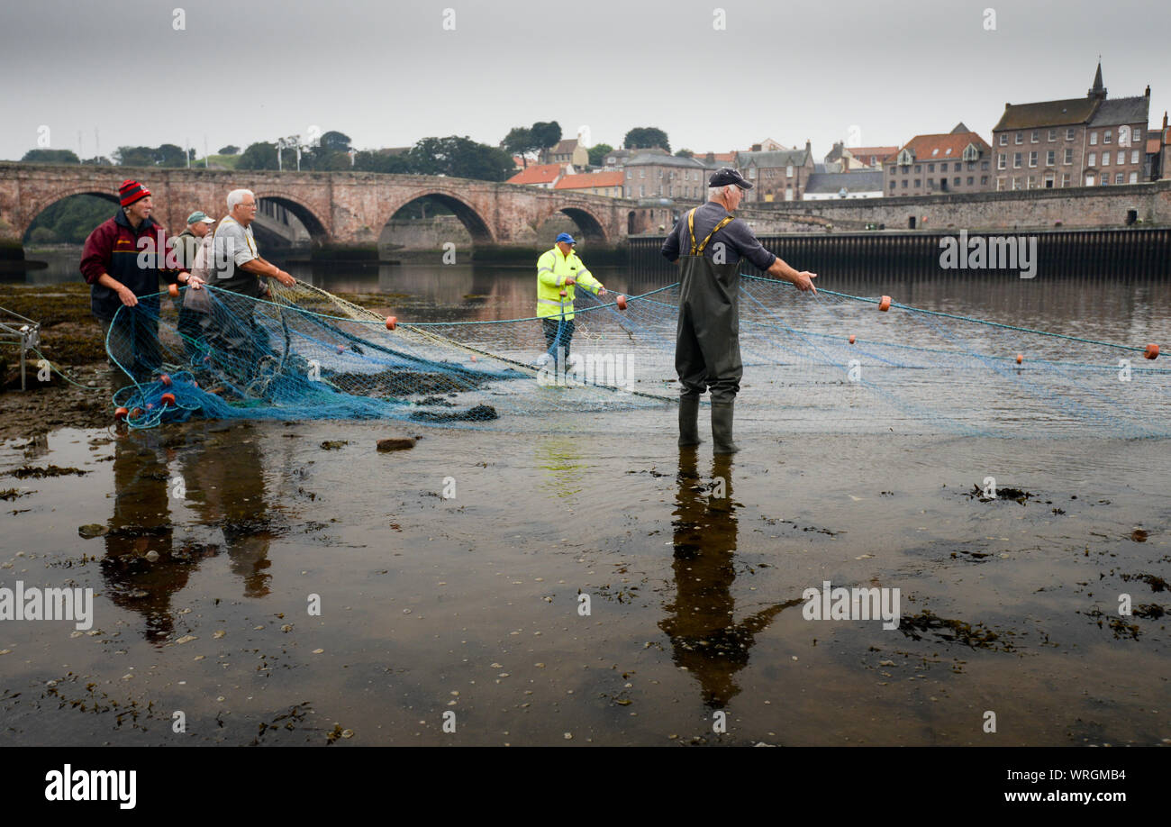 River Tweed traditional net fishermen fishing at Gardo fishery at ...