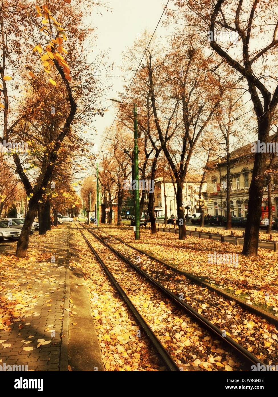 City autumn street hi-res stock photography and images - Alamy