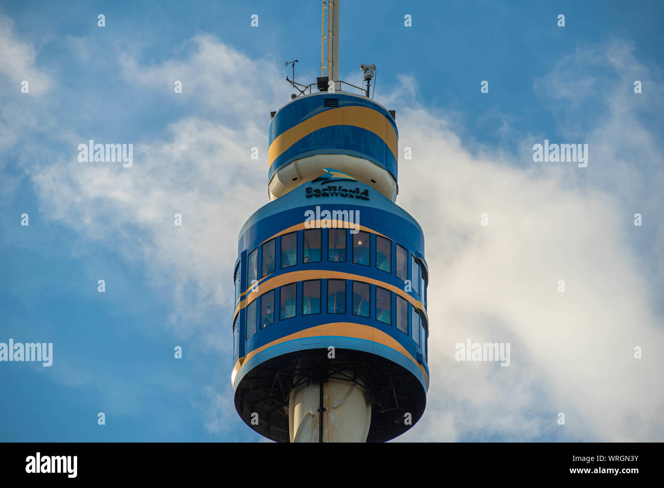 Orlando, Florida. August 23, 2019. Top view of colorful jellyfish in ...