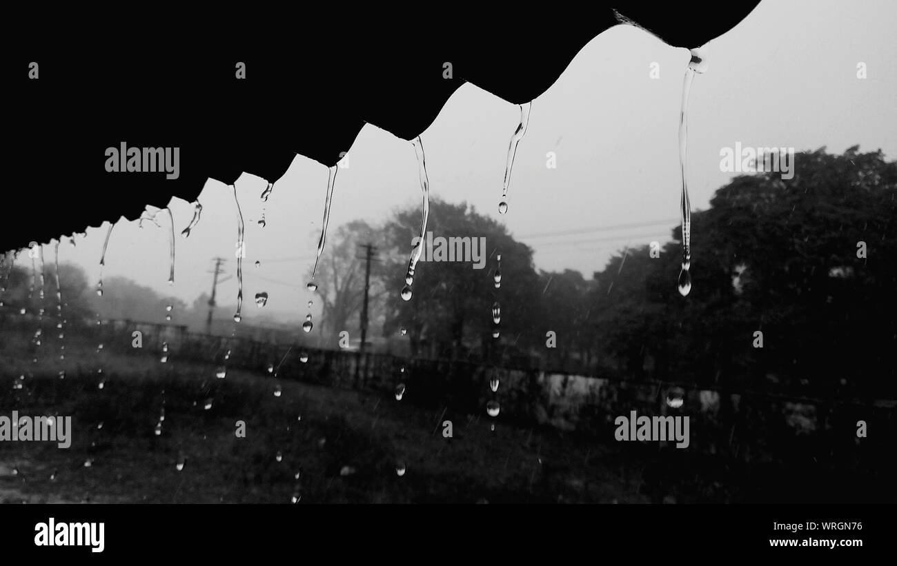 Dripping water rain hi-res stock photography and images - Alamy