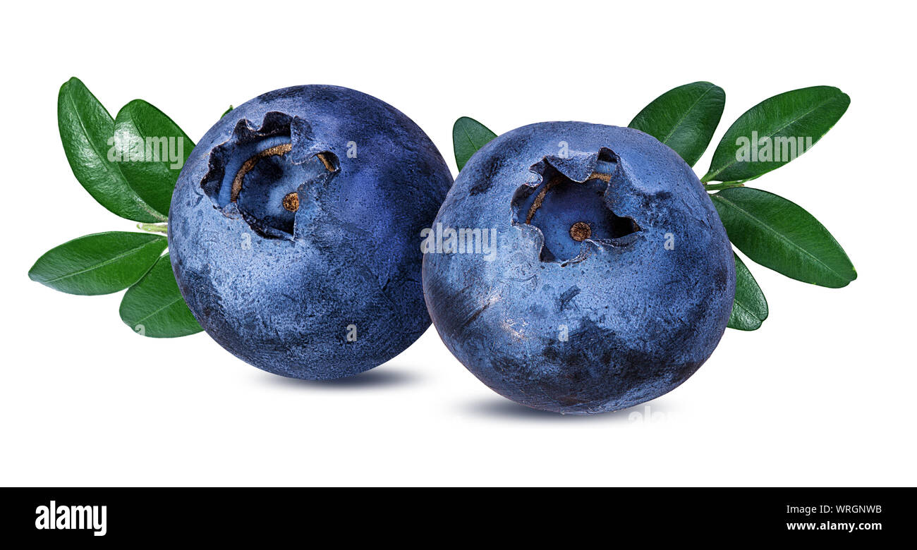 Fresh Bilberries blueberries, isolated on white background Stock Photo ...