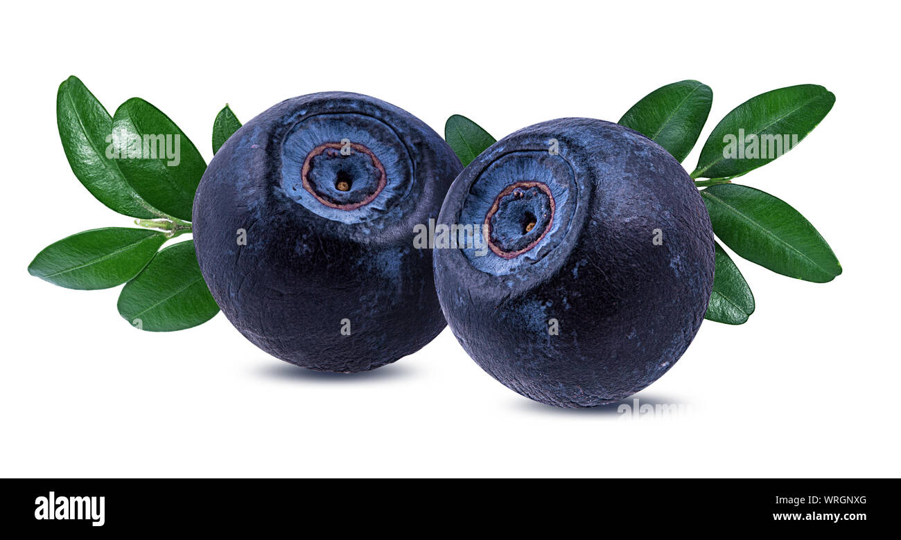 Fresh Bilberries blueberries, isolated on white background Stock Photo ...
