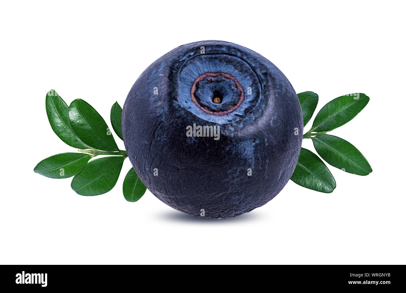 Fresh Bilberries blueberries, isolated on white background Stock Photo ...