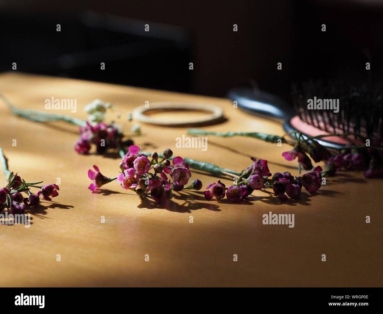 Messy flowers hi-res stock photography and images - Alamy