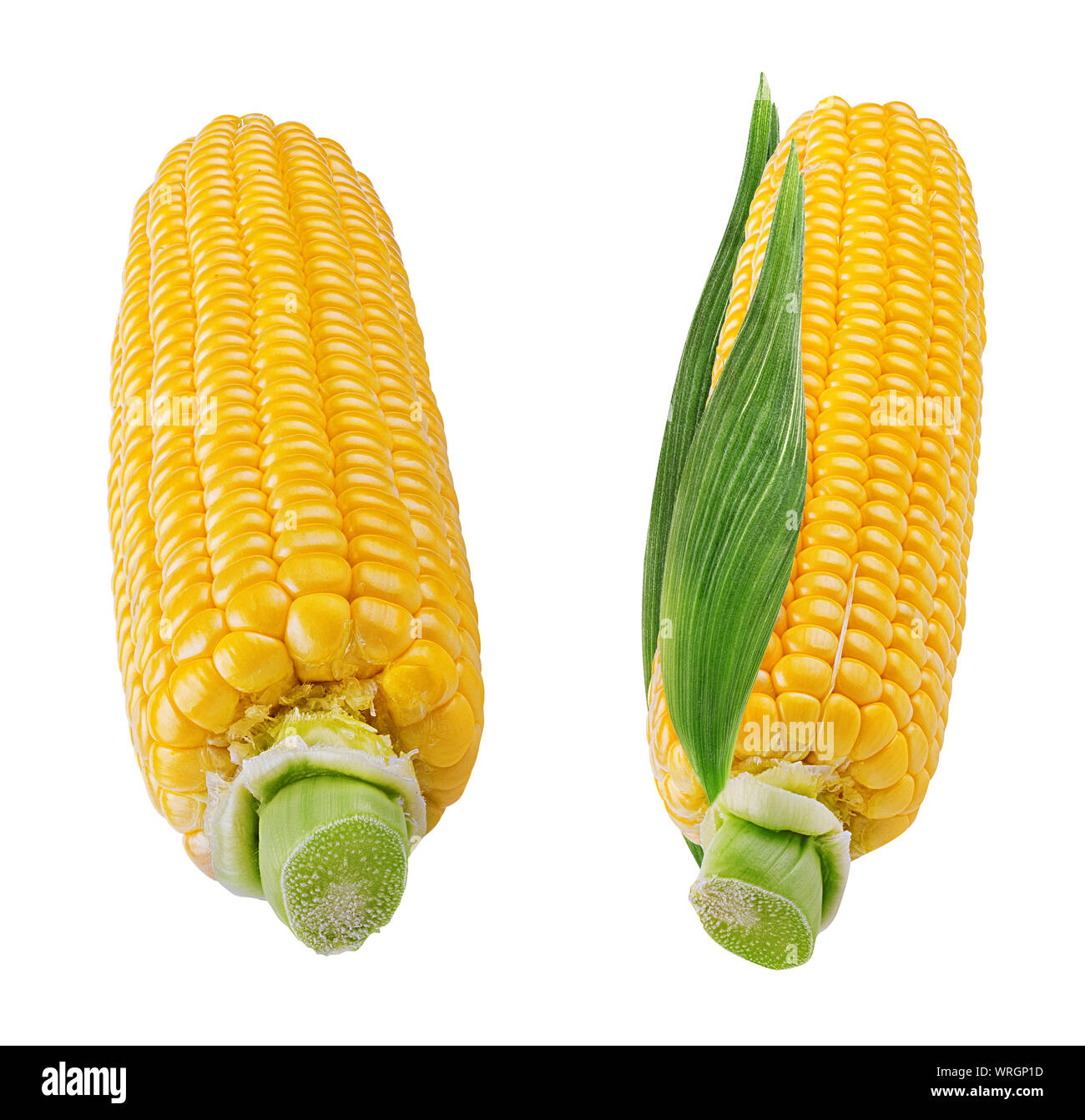 Corn isolated on white background Stock Photo - Alamy
