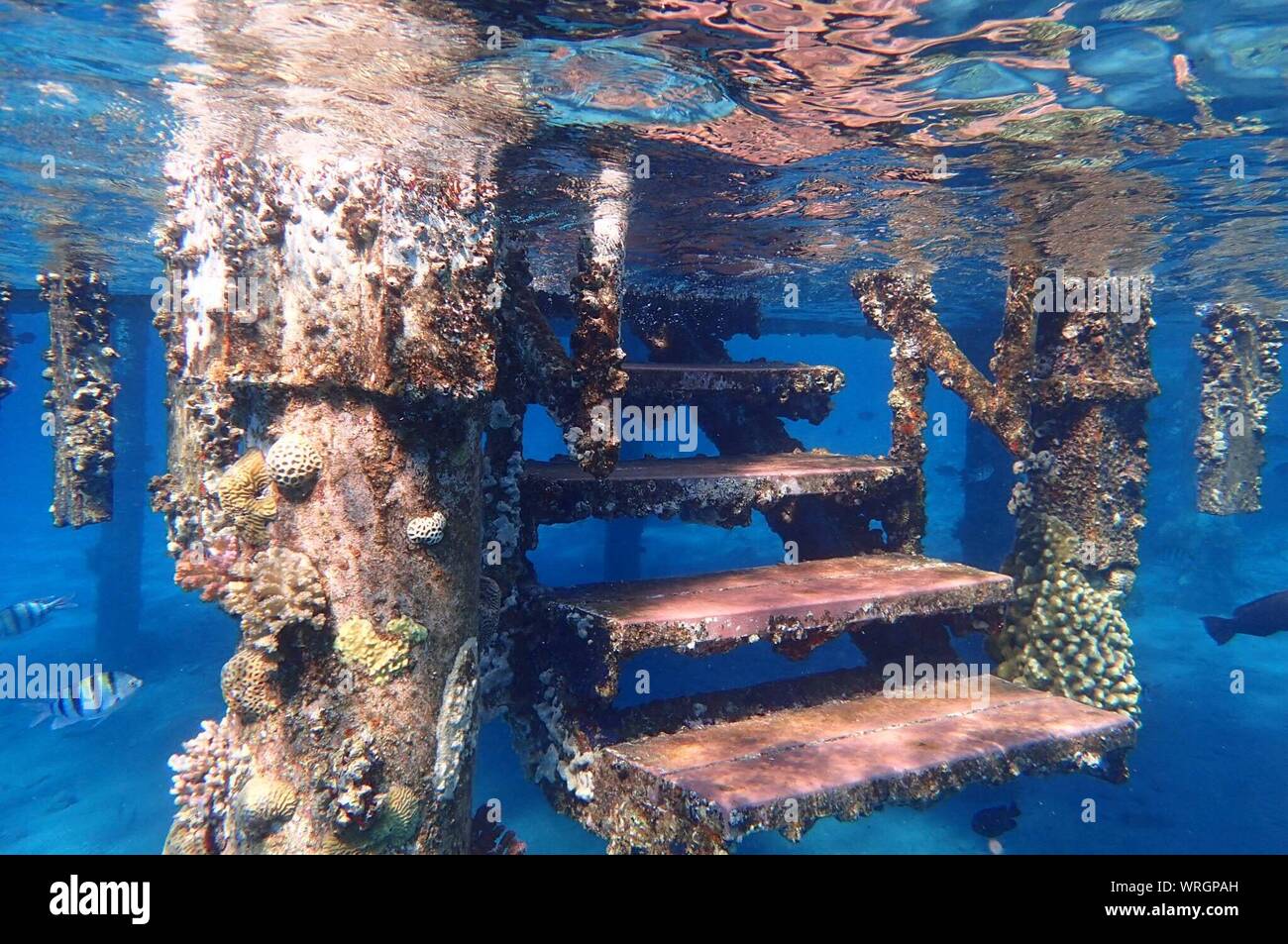Underwater steps hi-res stock photography and images - Alamy