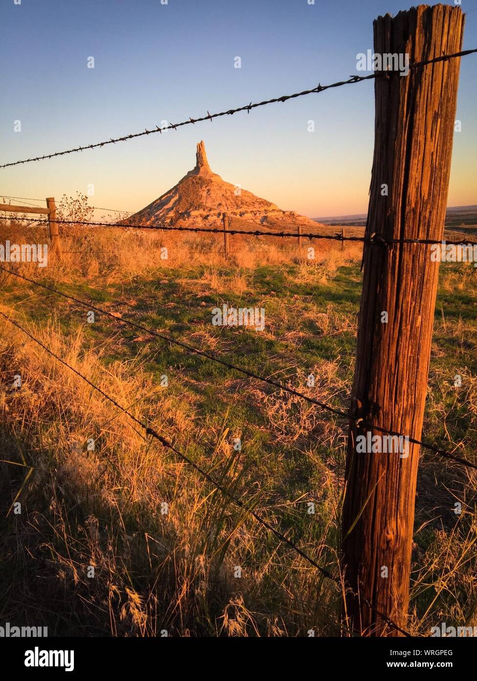 Fence field boundary hi-res stock photography and images - Alamy