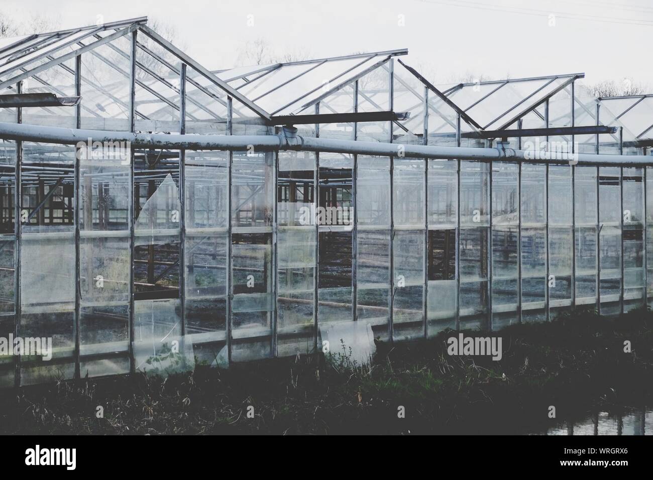 Old Greenhouses High Resolution Stock Photography and Images - Alamy