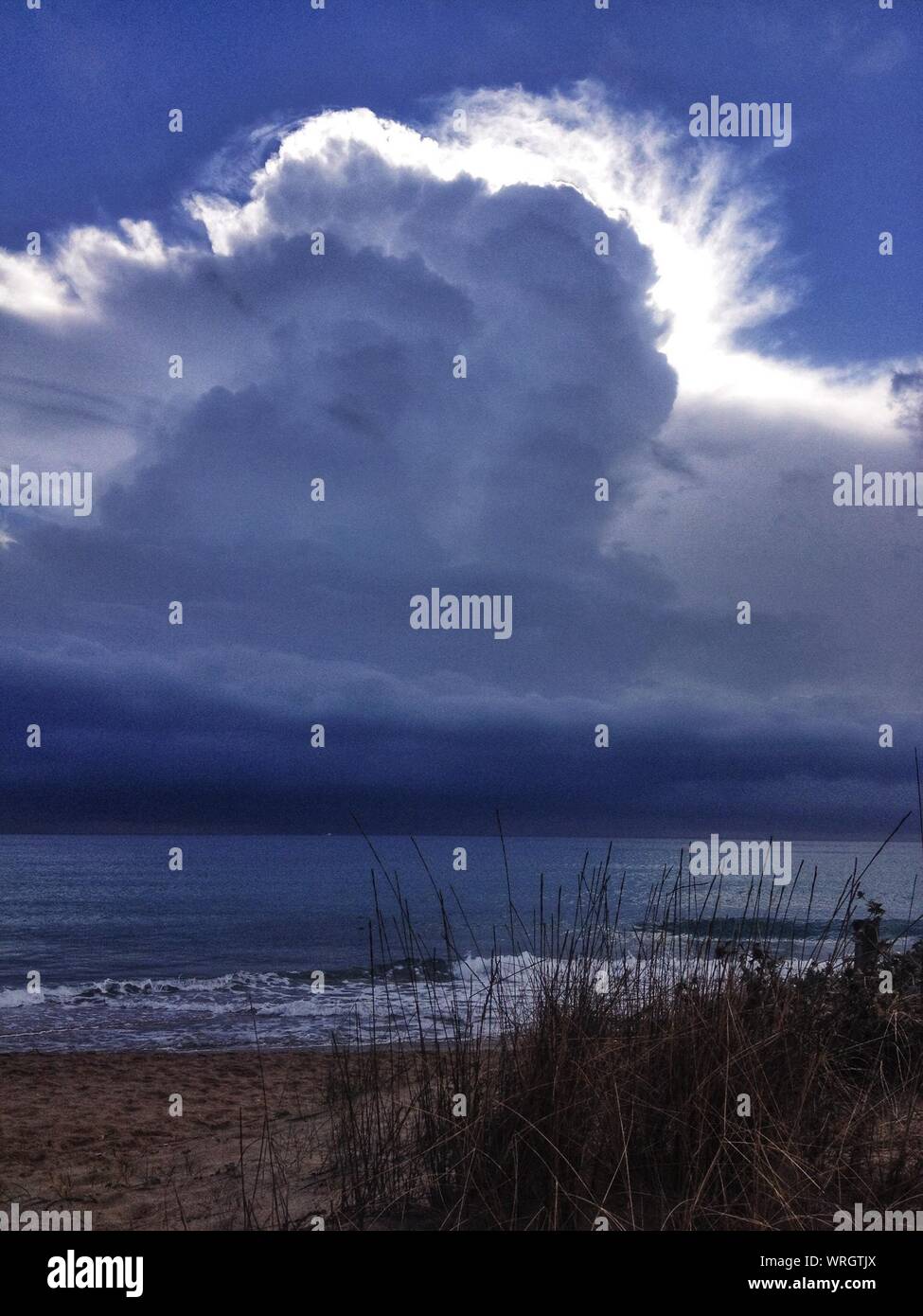 Reeds beach hi-res stock photography and images - Alamy