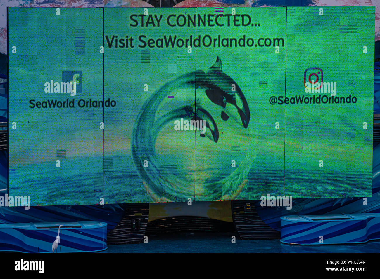 Orlando, Florida. August 31, 2019. Big Screen in One Ocean Show at ...
