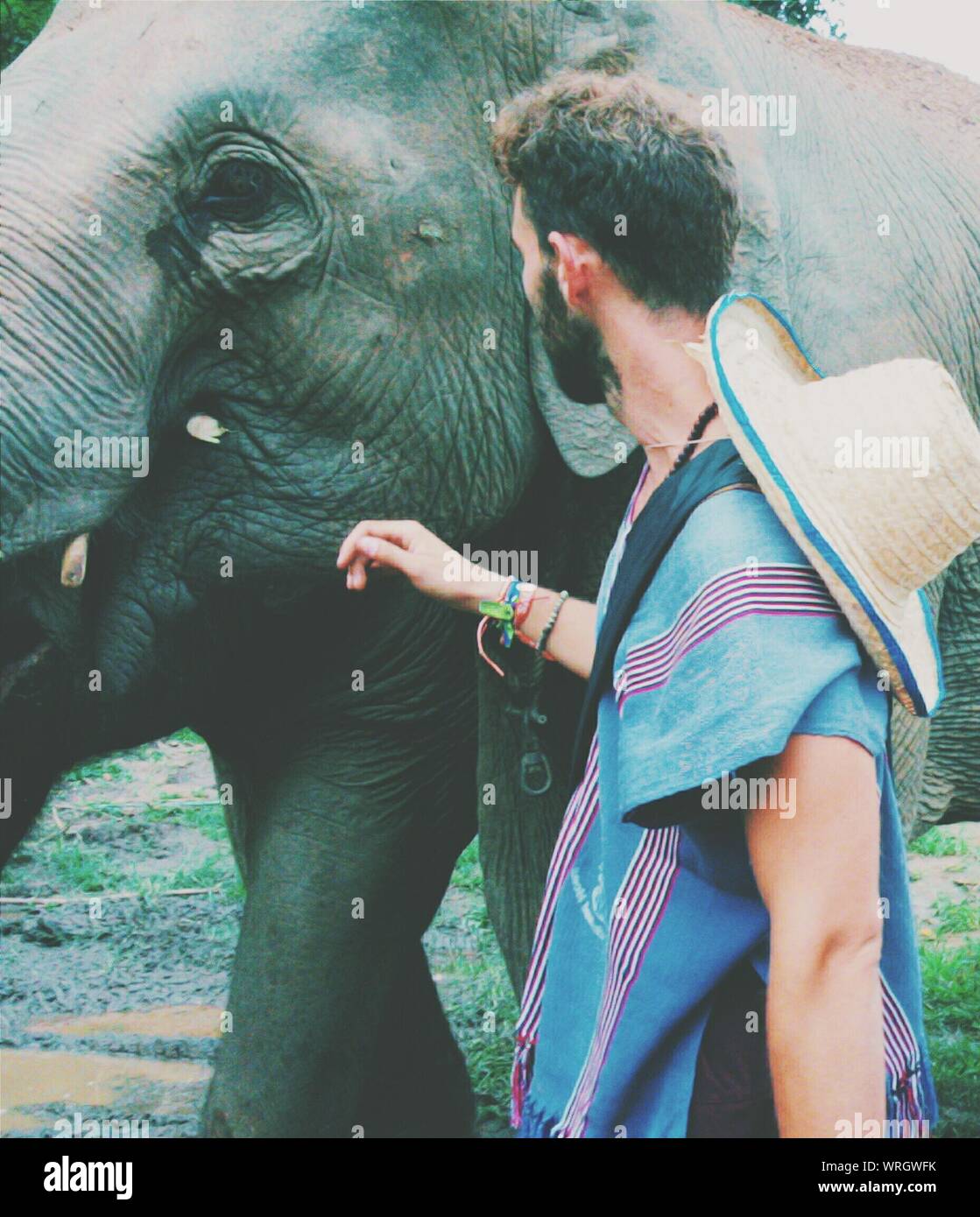 Touching an elephant hi-res stock photography and images - Alamy