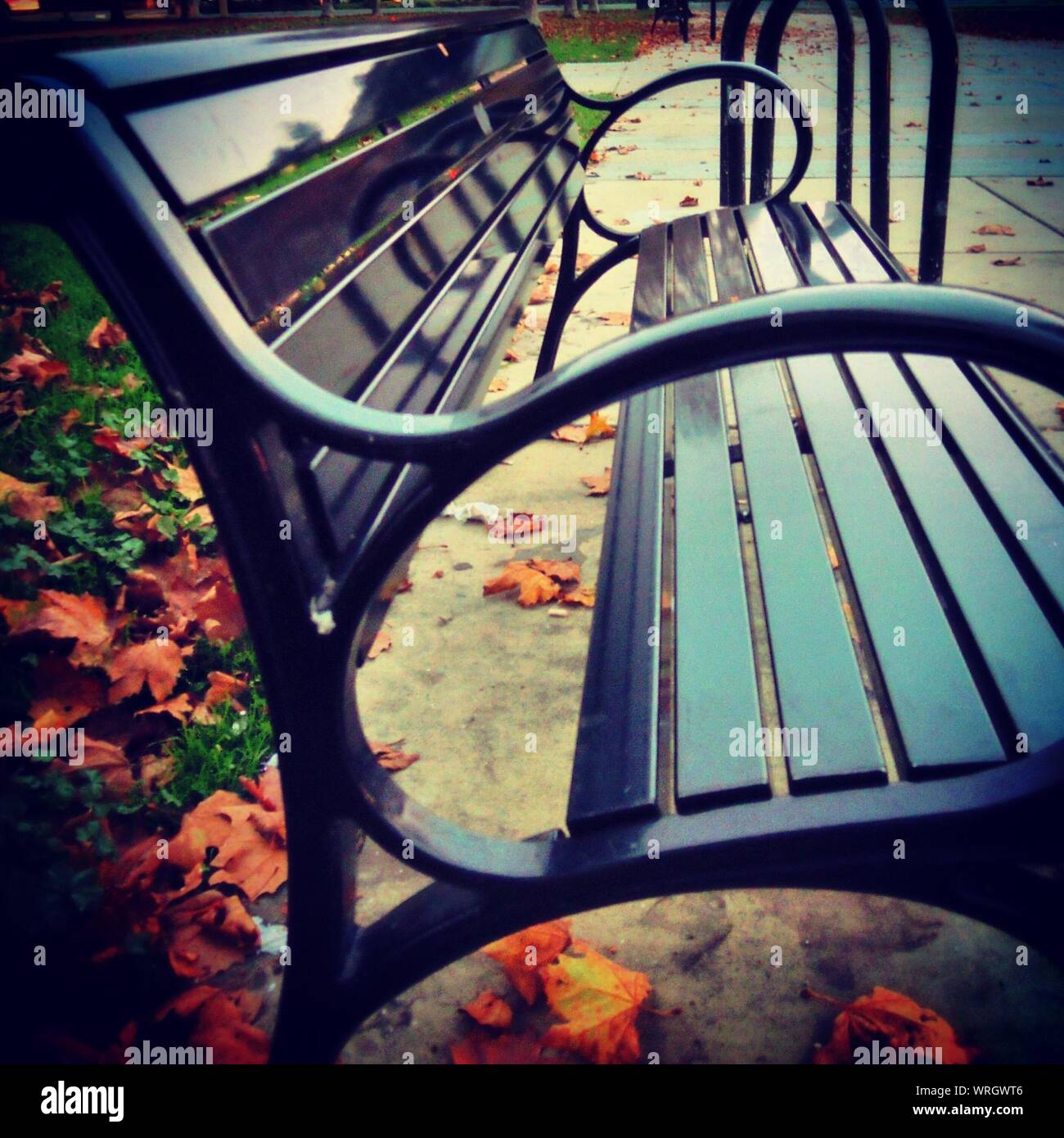 Close up of bench hi-res stock photography and images - Alamy