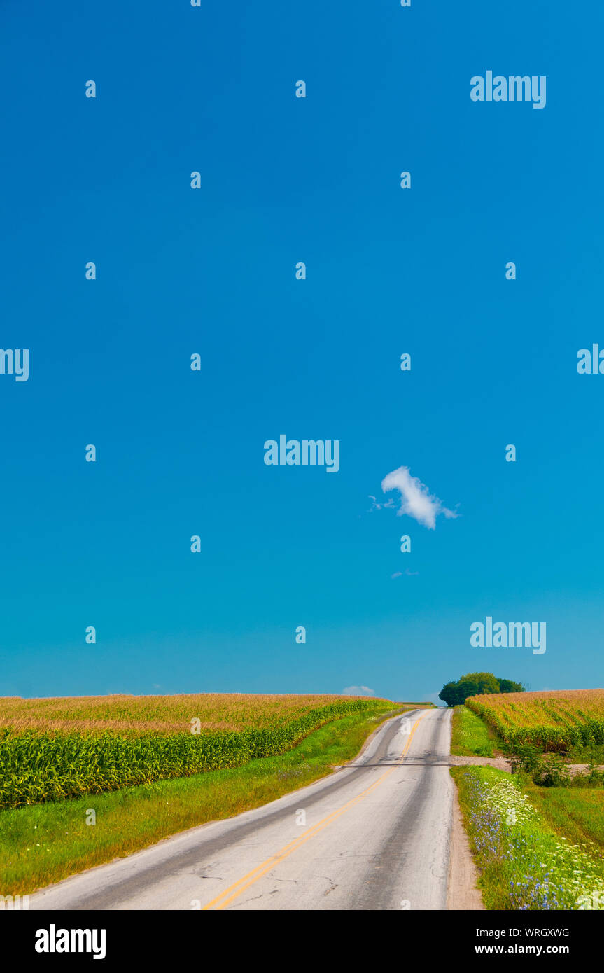 Single cloud over a rural road running between cornfields in upstate ...