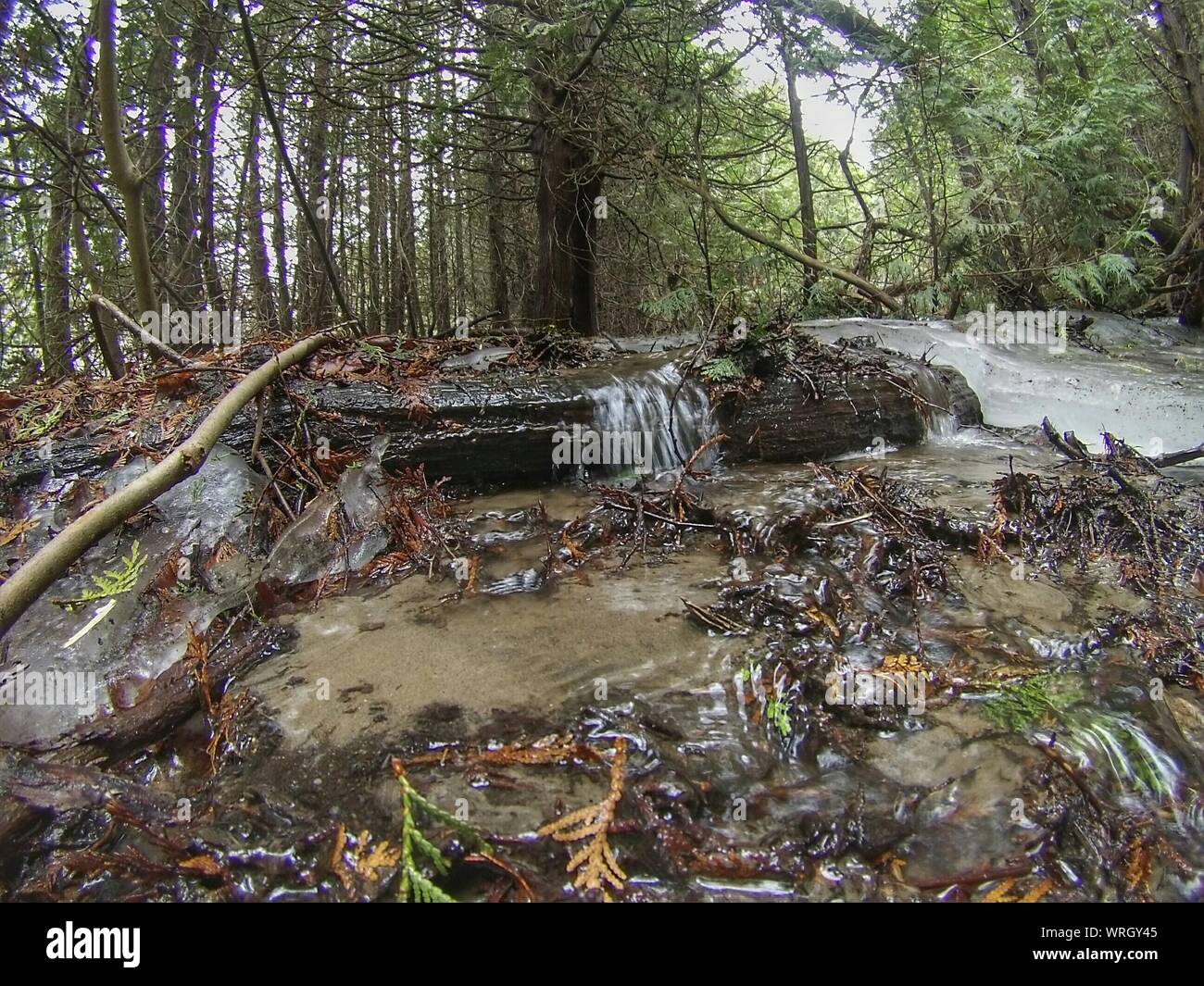 Messy scene hi-res stock photography and images - Alamy