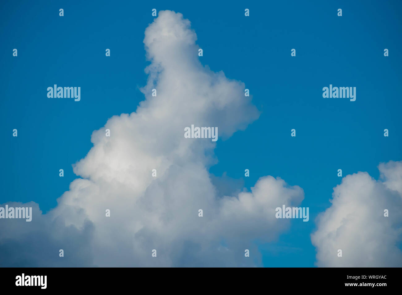 Orlando, Florida. August 31, 2019. Rabbit shaped cloud on bluelight sky ...