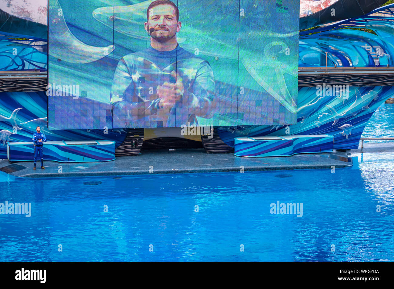 Orlando, Florida. August 31, 2019. Trainer on screen in One Ocean Show ...