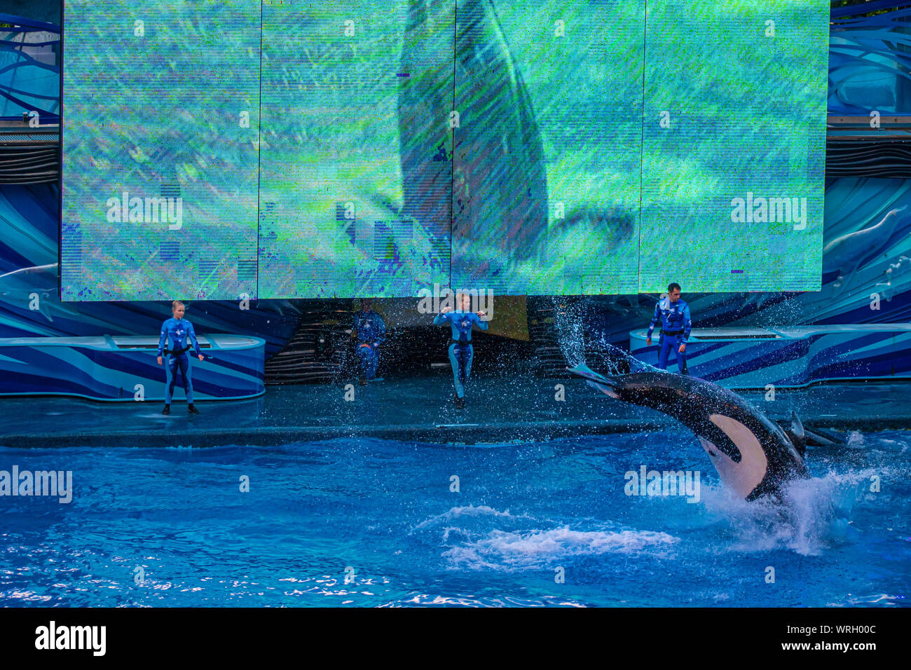 One ocean orlando hi-res stock photography and images - Alamy