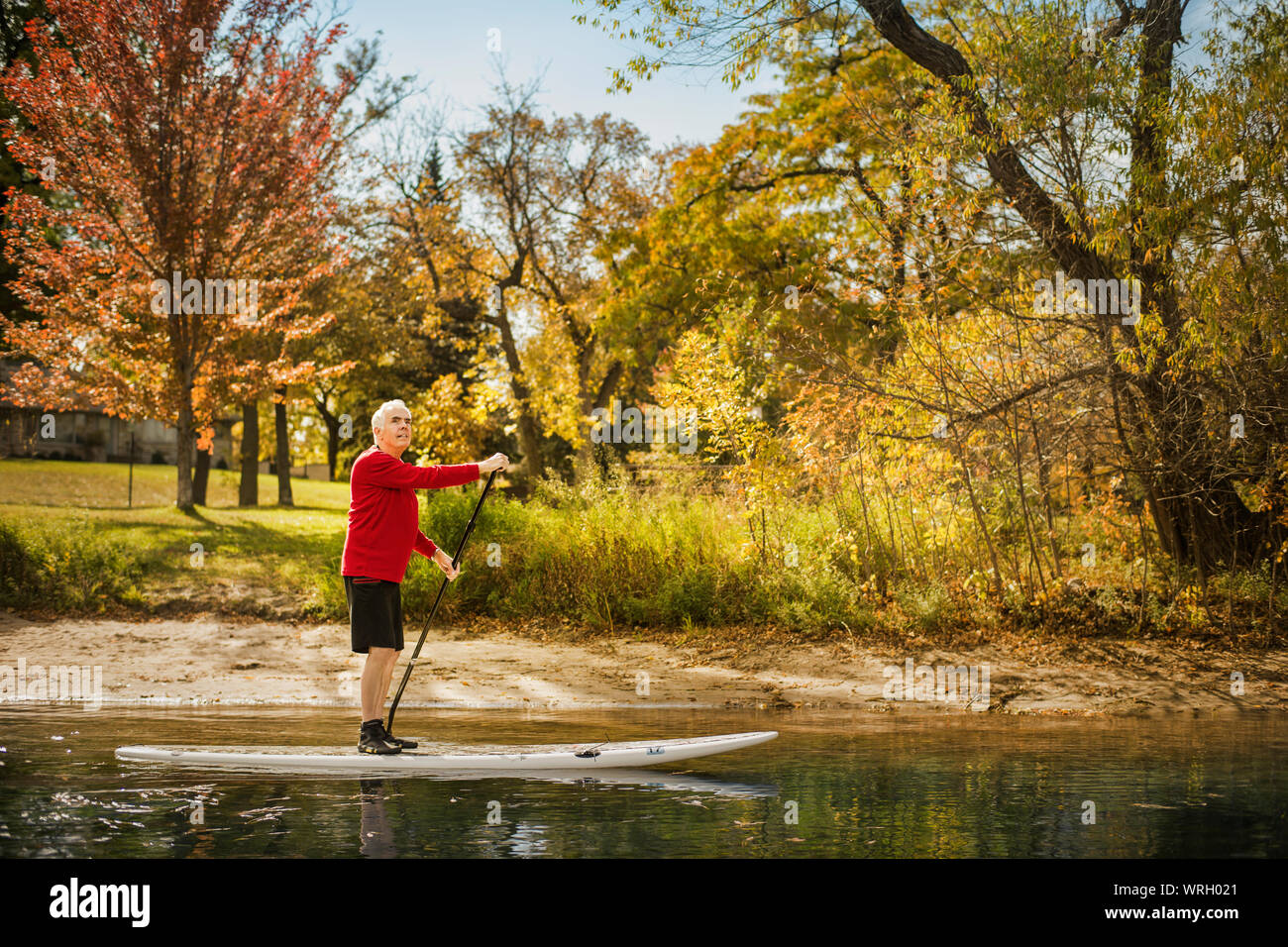 Senior man paddle boarding Stock Photo - Alamy
