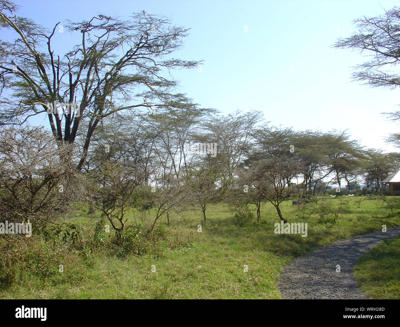 Field pathway hi-res stock photography and images - Alamy