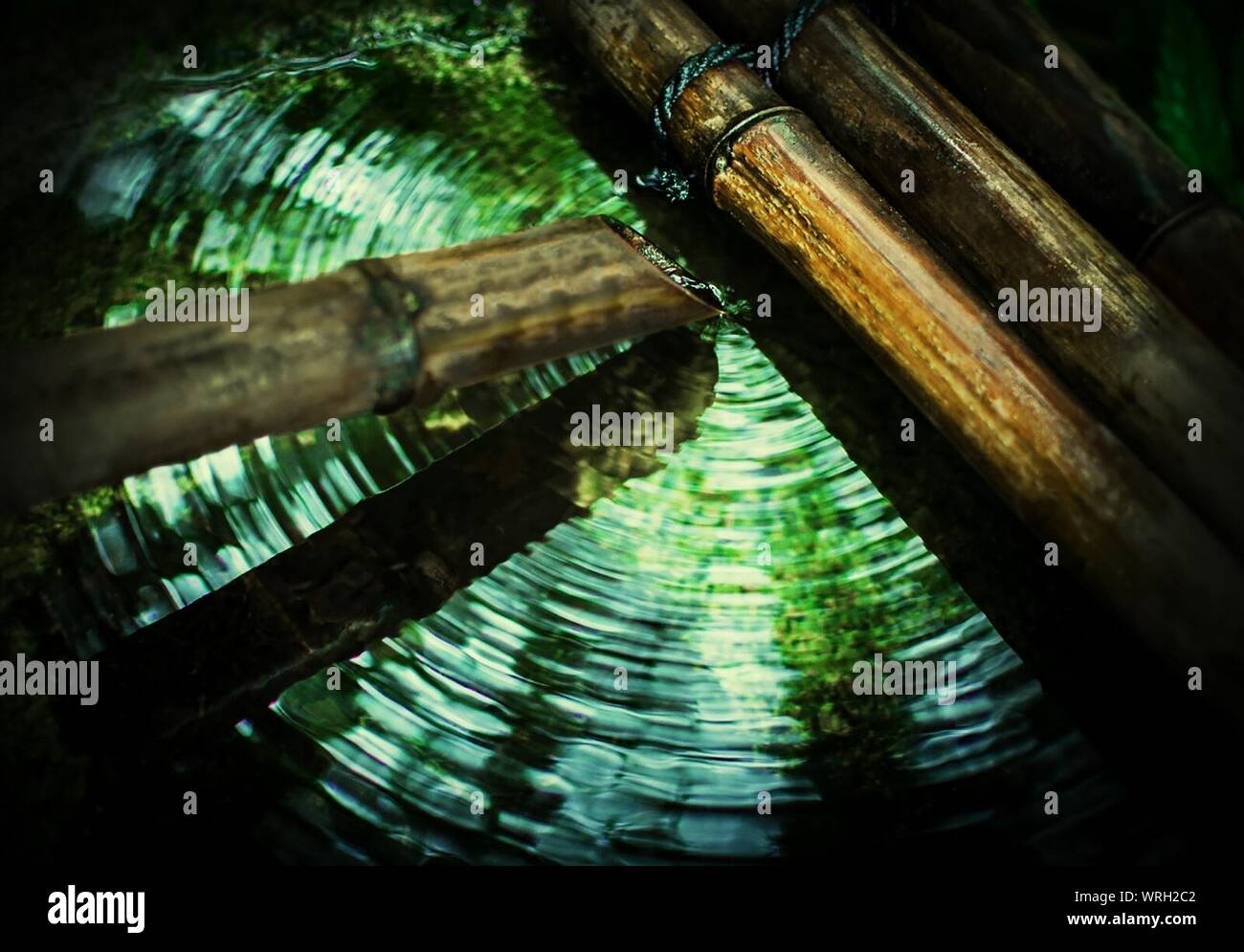 Water bamboo hi-res stock photography and images - Alamy
