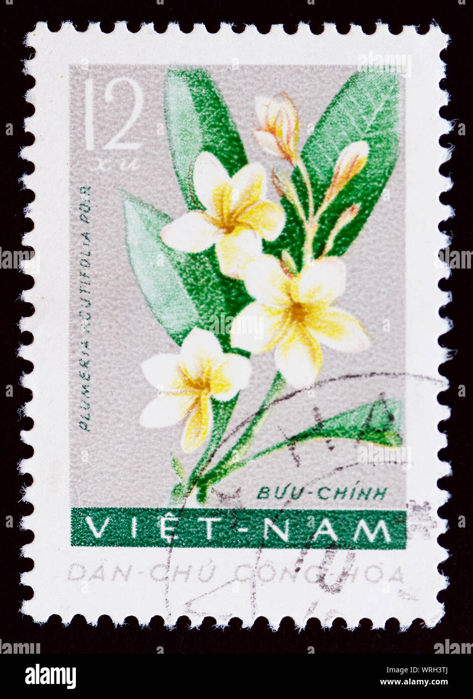 Vietnam Postage Stamp - Spring and Summer Flowers Stock Photo - Alamy