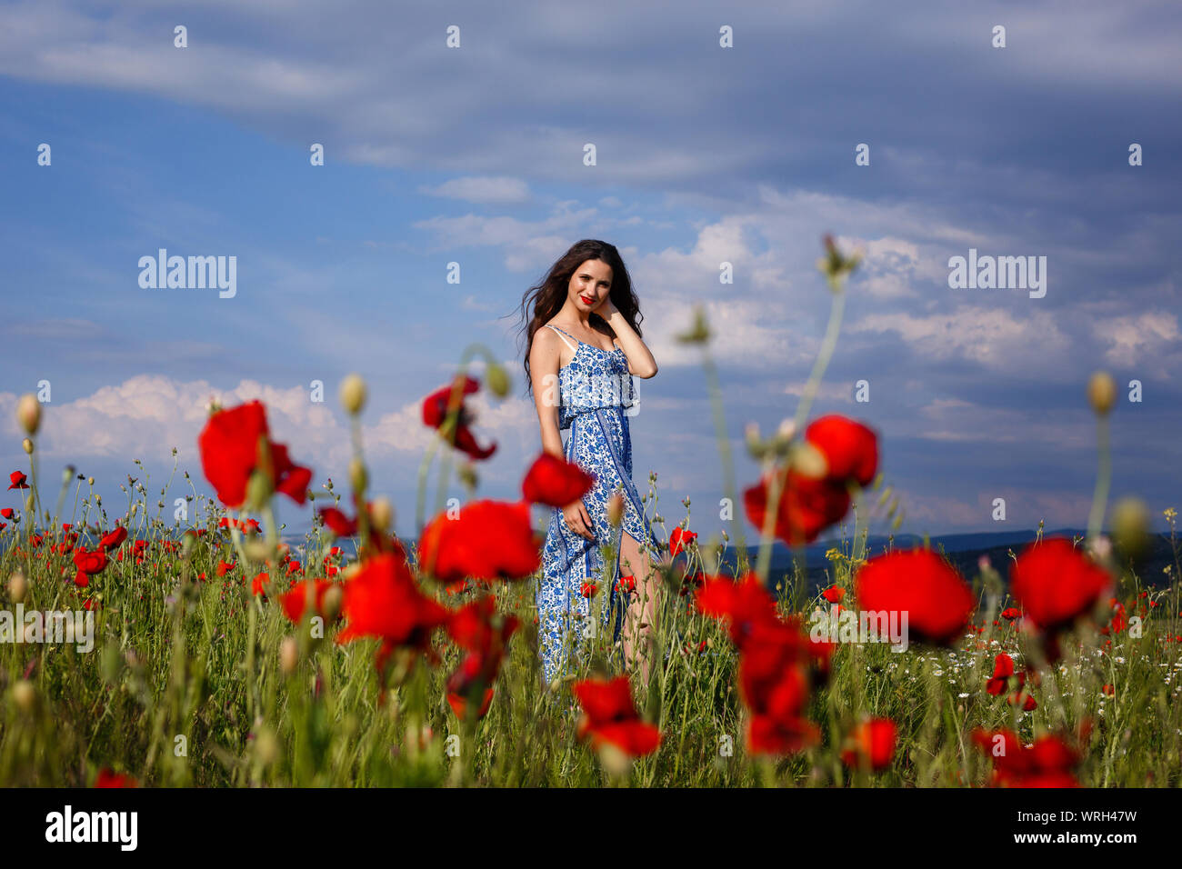 Beautiful woman in a field with flowers Stock Photo - Alamy