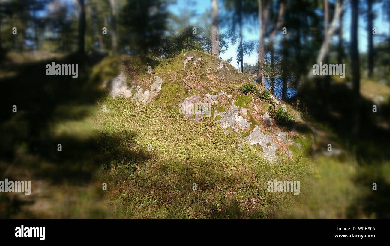 Small hill hi-res stock photography and images - Alamy
