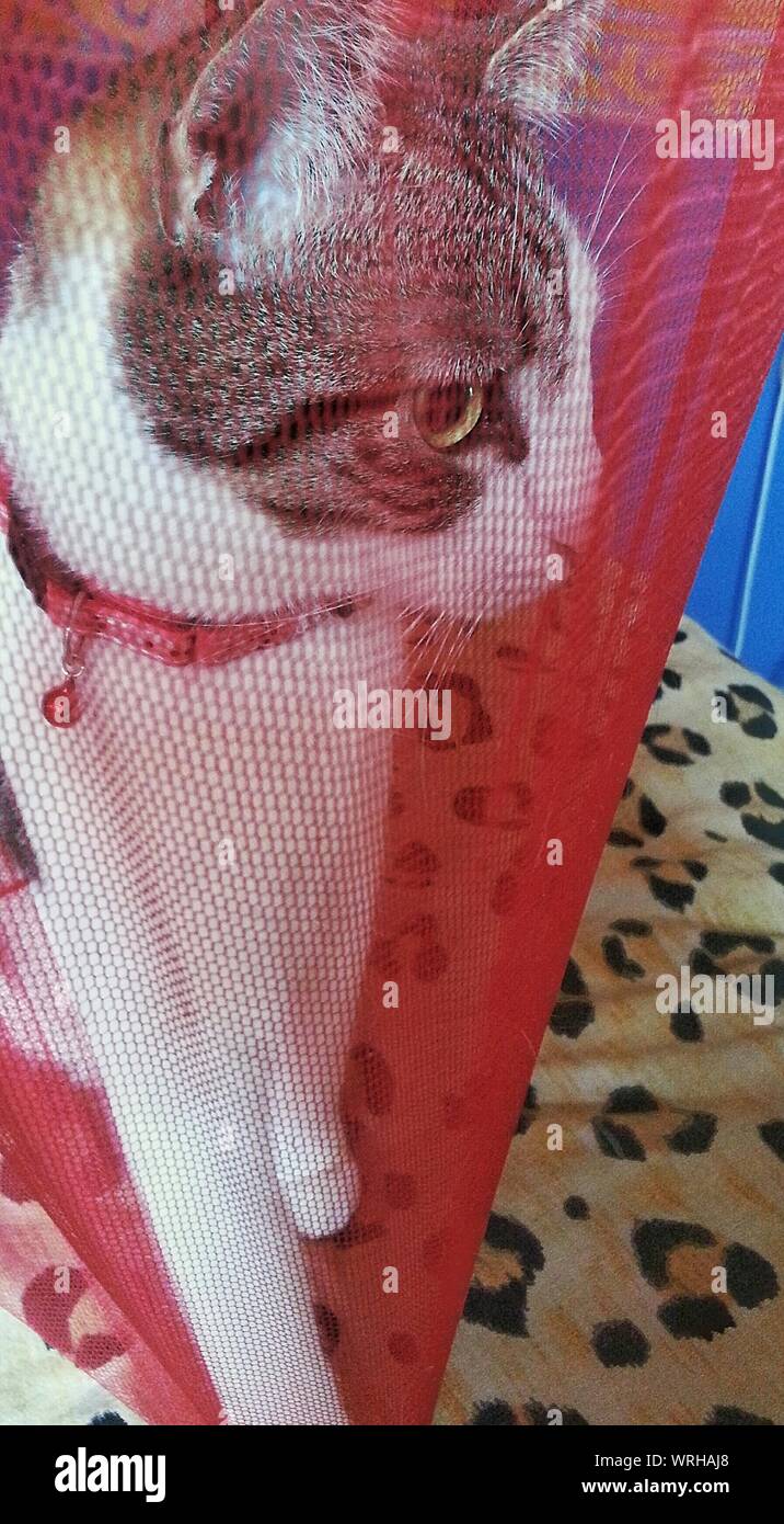 Trapped in home hi-res stock photography and images - Alamy