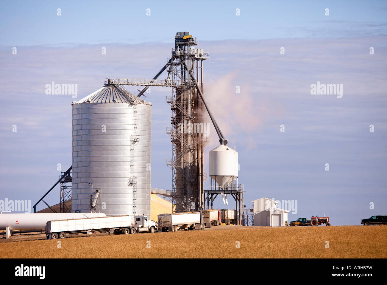 giant grain dryer receiving loads of grain Stock Photo - Alamy