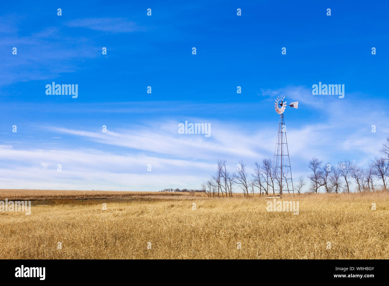 Saturated color hi-res stock photography and images - Alamy