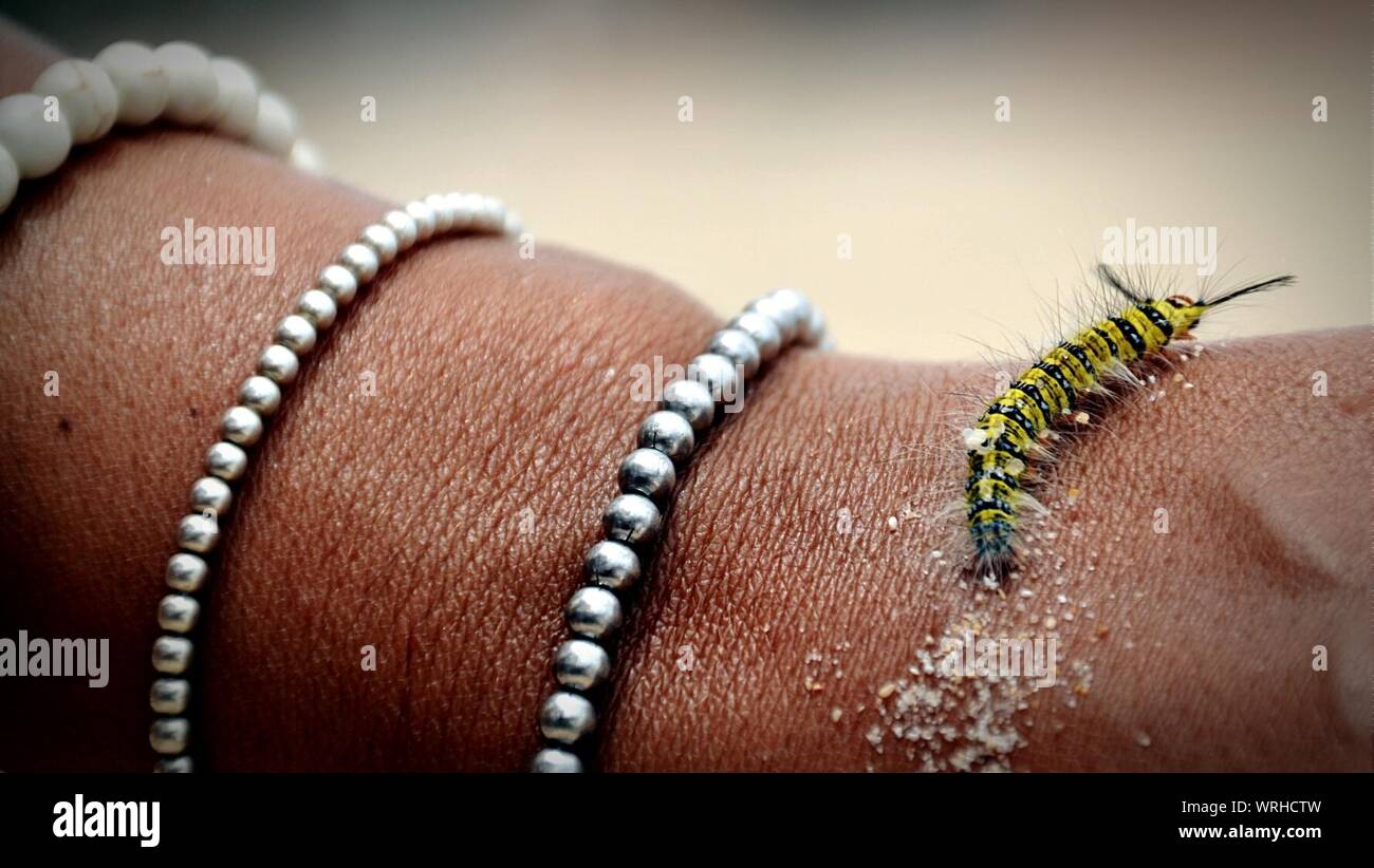 Human caterpillar hi-res stock photography and images - Alamy