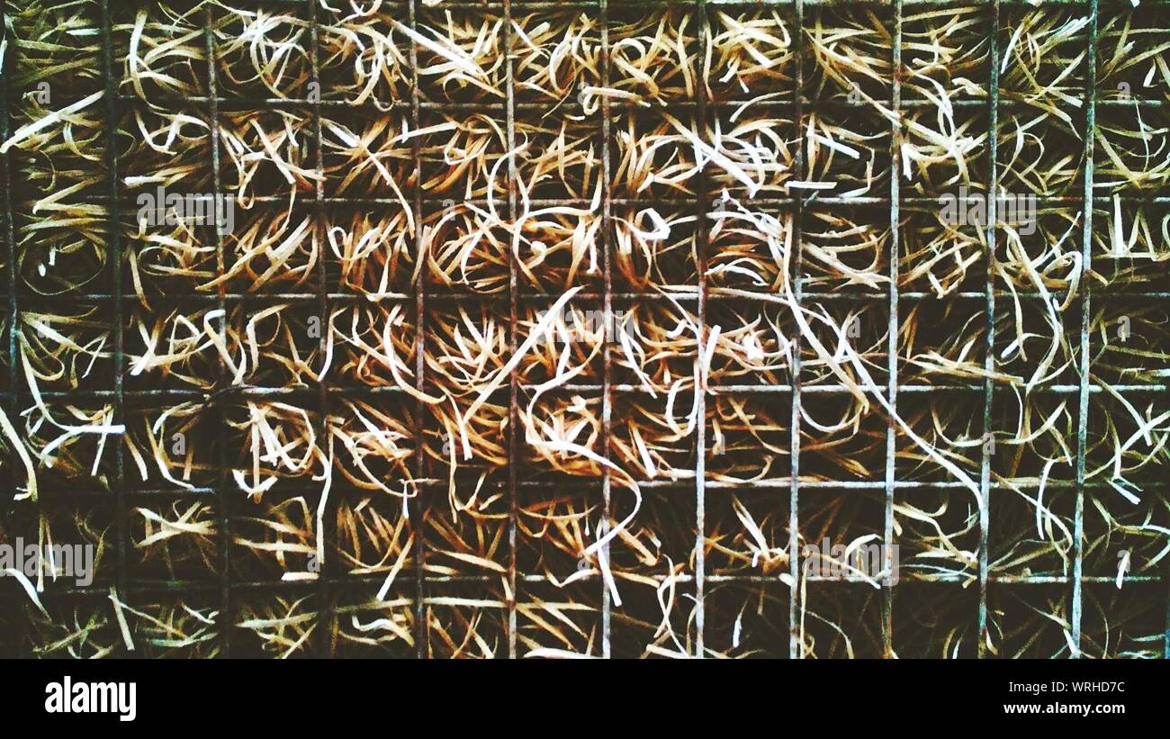 Close air hi-res stock photography and images - Alamy