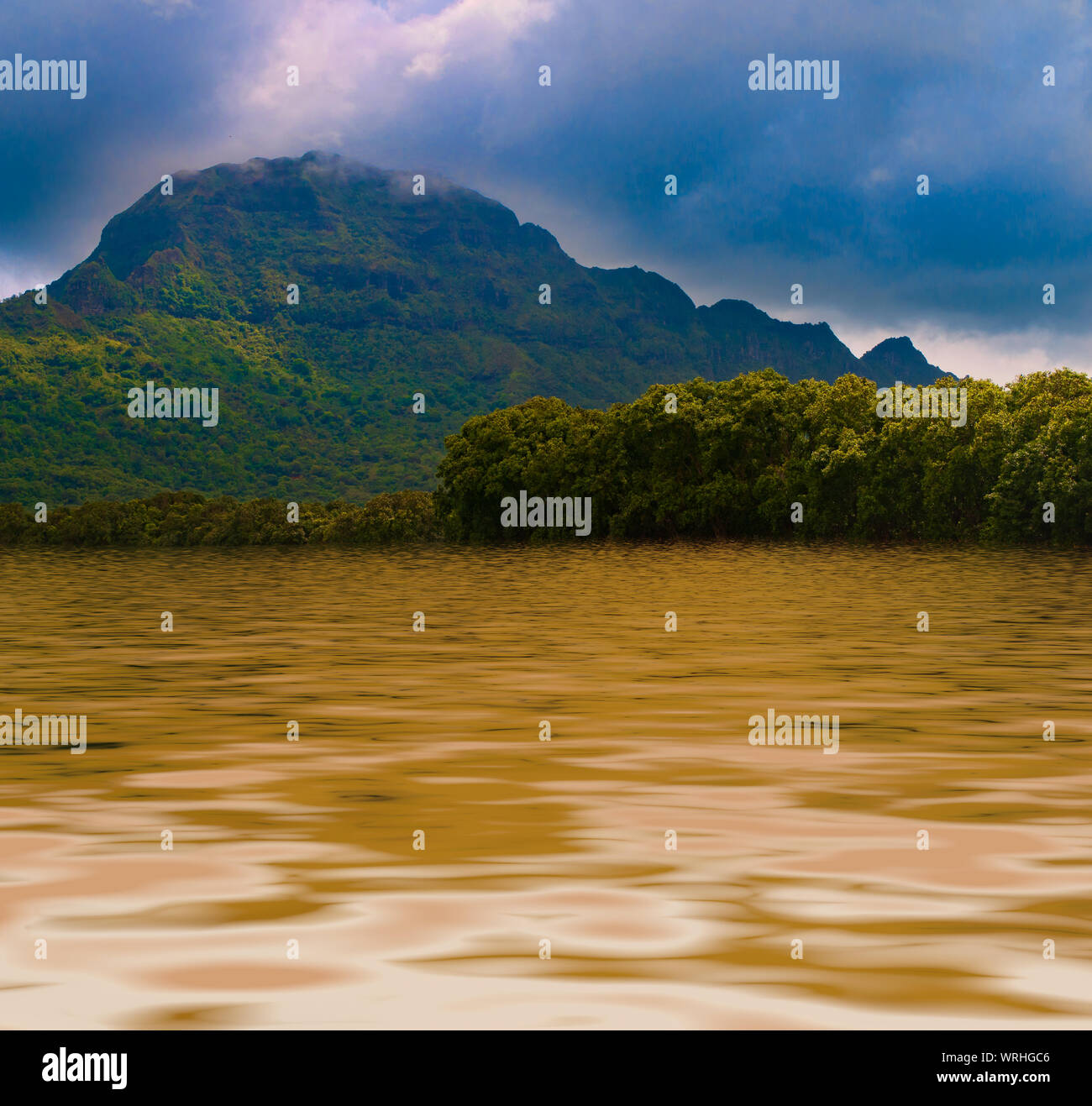 Tropical mountain climate hi-res stock photography and images - Alamy