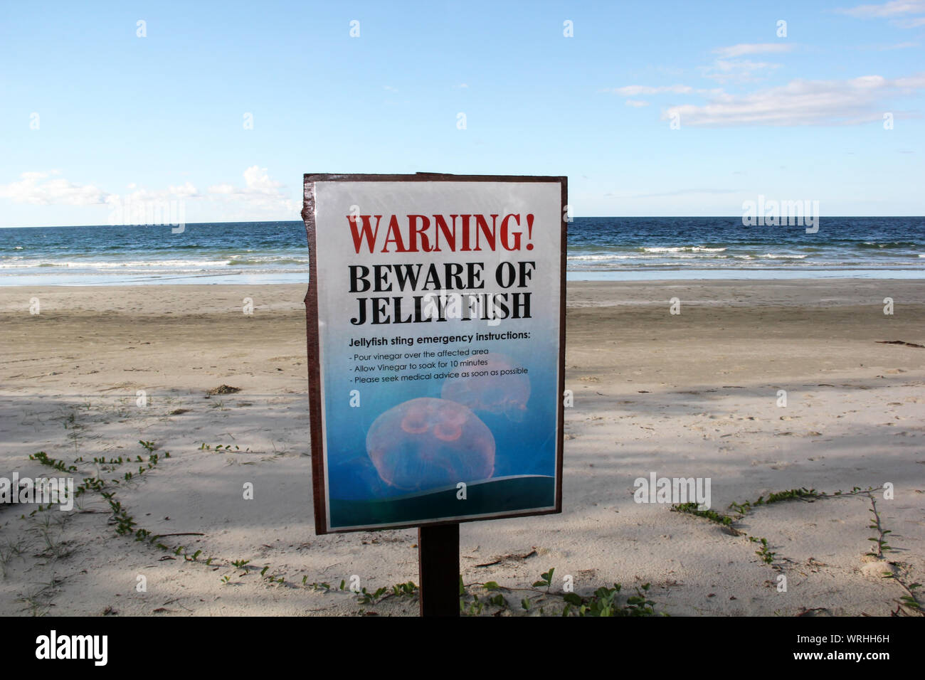 Jellyfish danger warning sign on a Sabah Borneo beach Stock Photo - Alamy