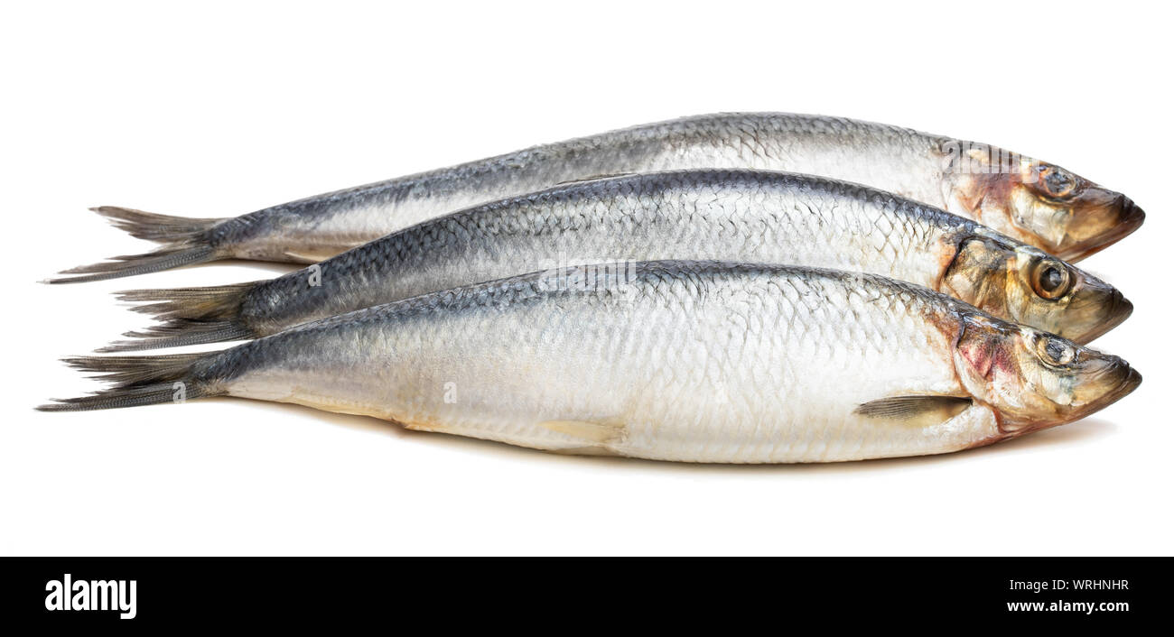 Set of fresh whole herring fish isolated on white Stock Photo - Alamy