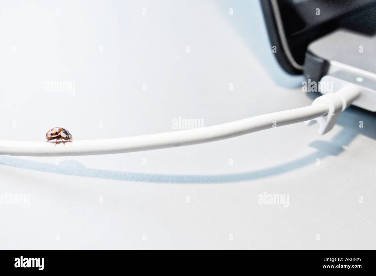 Mobile phone cable hi-res stock photography and images - Alamy