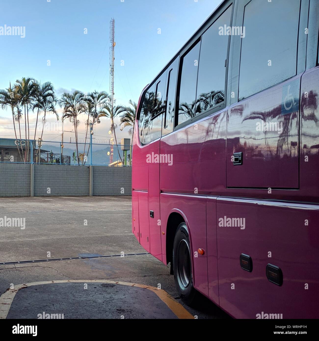 Pink bus hi-res stock photography and images - Alamy