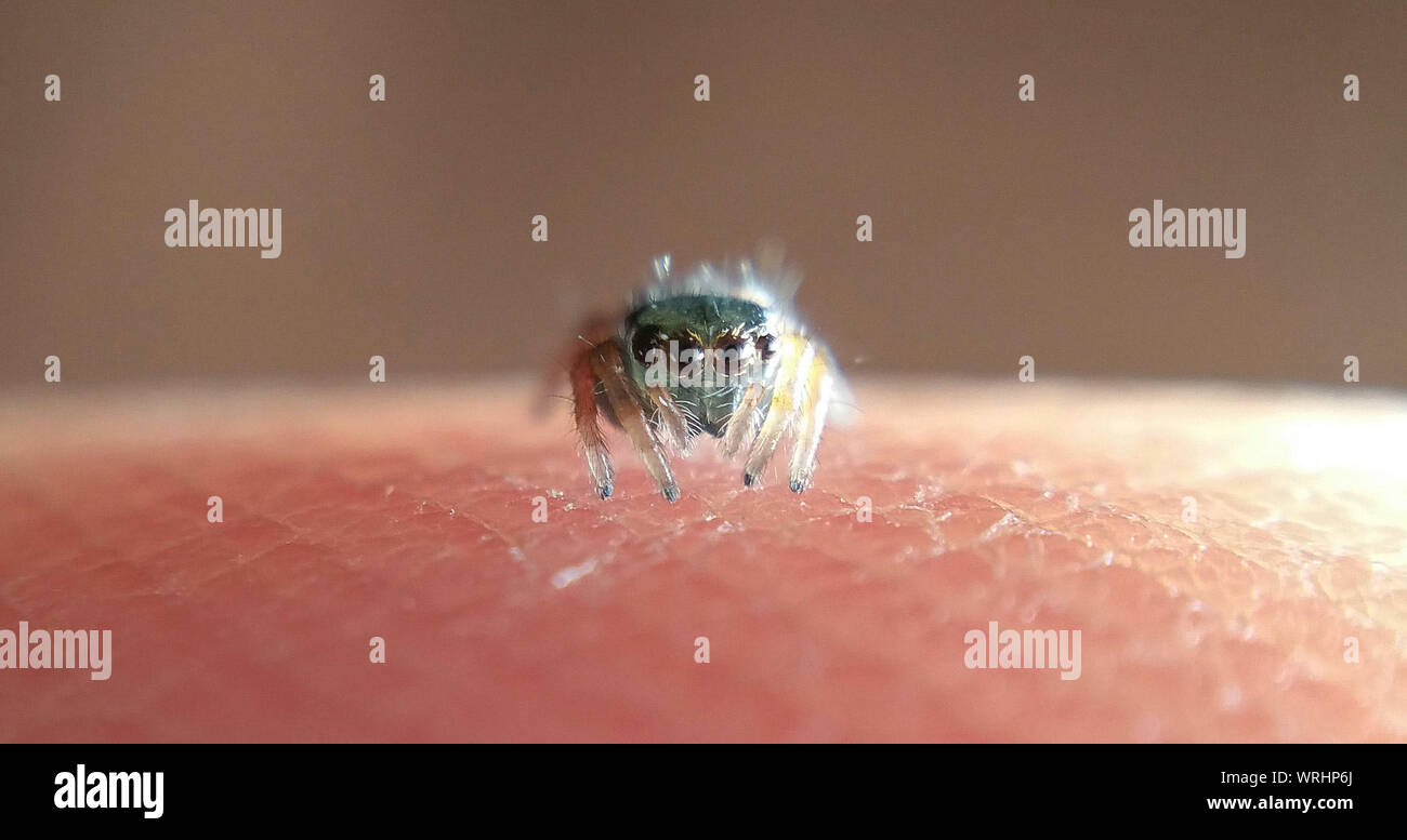 Human jumping hi-res stock photography and images - Alamy