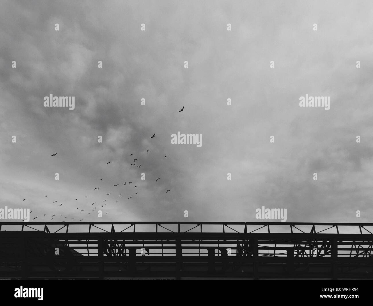 Flying over bridge hi-res stock photography and images - Alamy